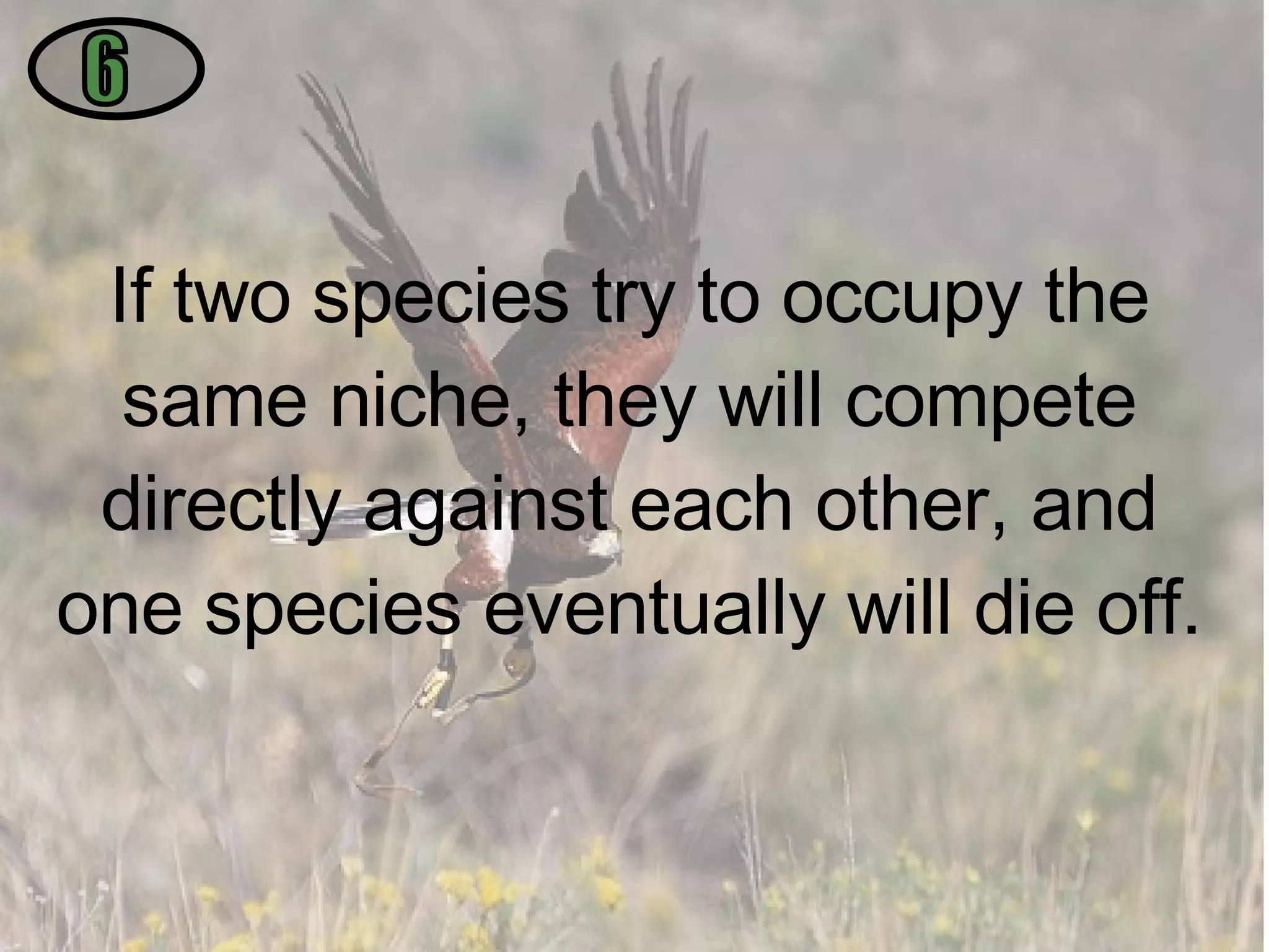 1.3 Interactions Among Living Things | ODP