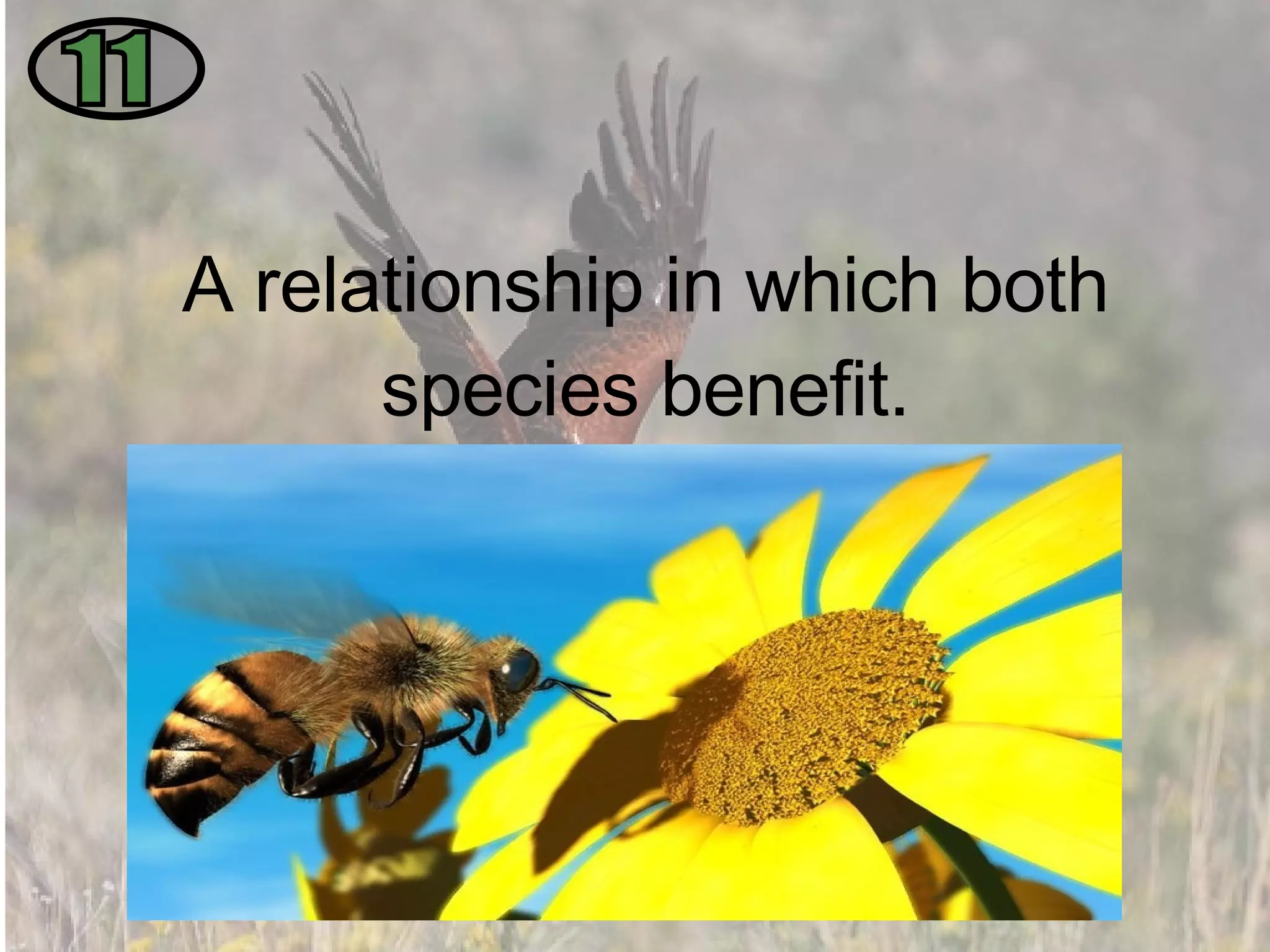 1.3 Interactions Among Living Things | ODP