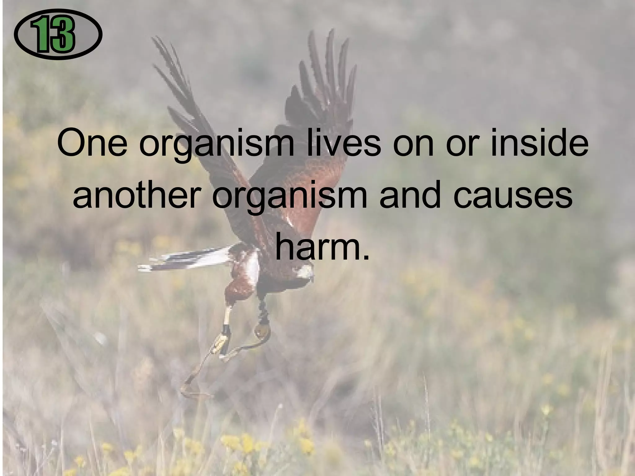 1.3 Interactions Among Living Things | ODP