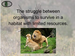 Interactions Among Living Things