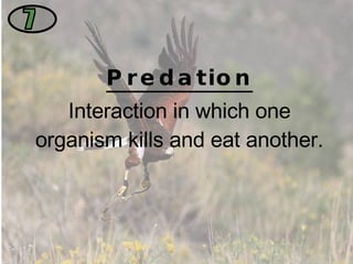 Interactions Among Living Things