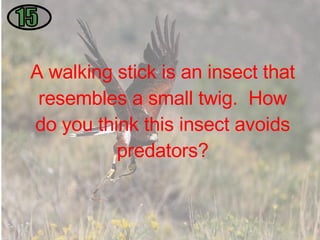 Interactions Among Living Things