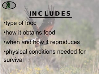 Interactions Among Living Things