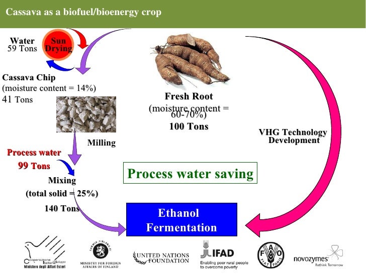 Session 1 3 Overview Of Potential Of Cassava As A Food Crop And As A