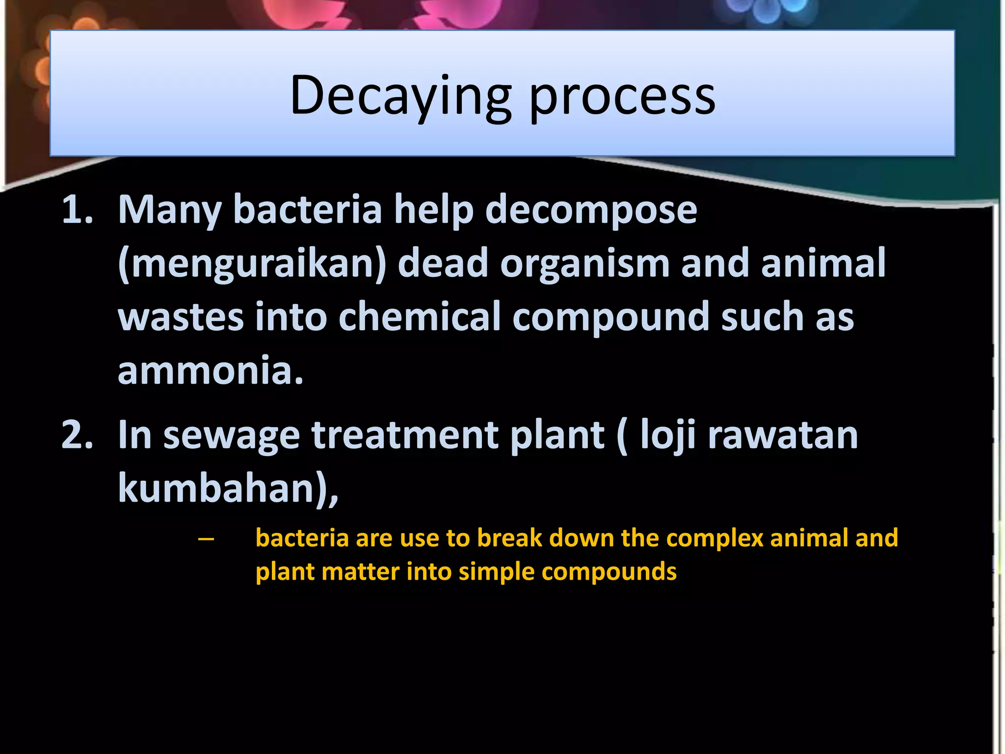 1.3 useful microorganism | PPTX
