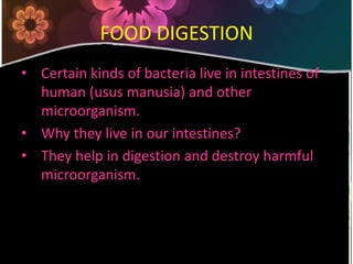 Useful Microorganisms