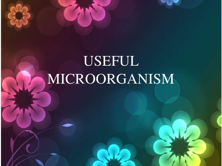 1.3 useful microorganism