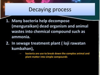 1 3usefulmicroorganism-110131110439-phpapp02 (1) | PPT