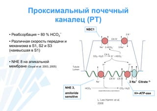 1-4. Acid-base disorders. Elena Levtchenko (rus) | PPT