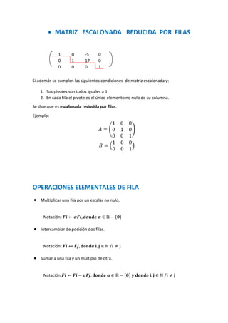 Forma escalonada de una matriz | DOCX