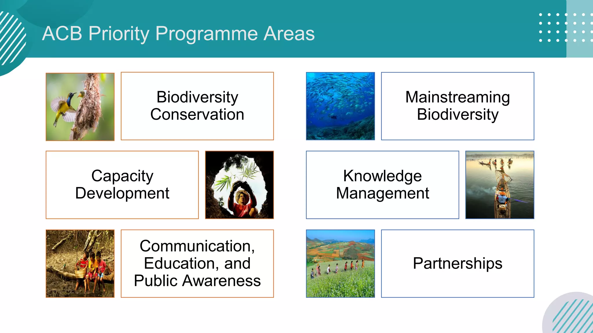 Biodiversity Conservation and Livelihood: A balance in implementation | PDF