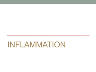 Inflammation Pathomorphology.pdf