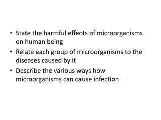 1.4 Microorganisms | PPTX