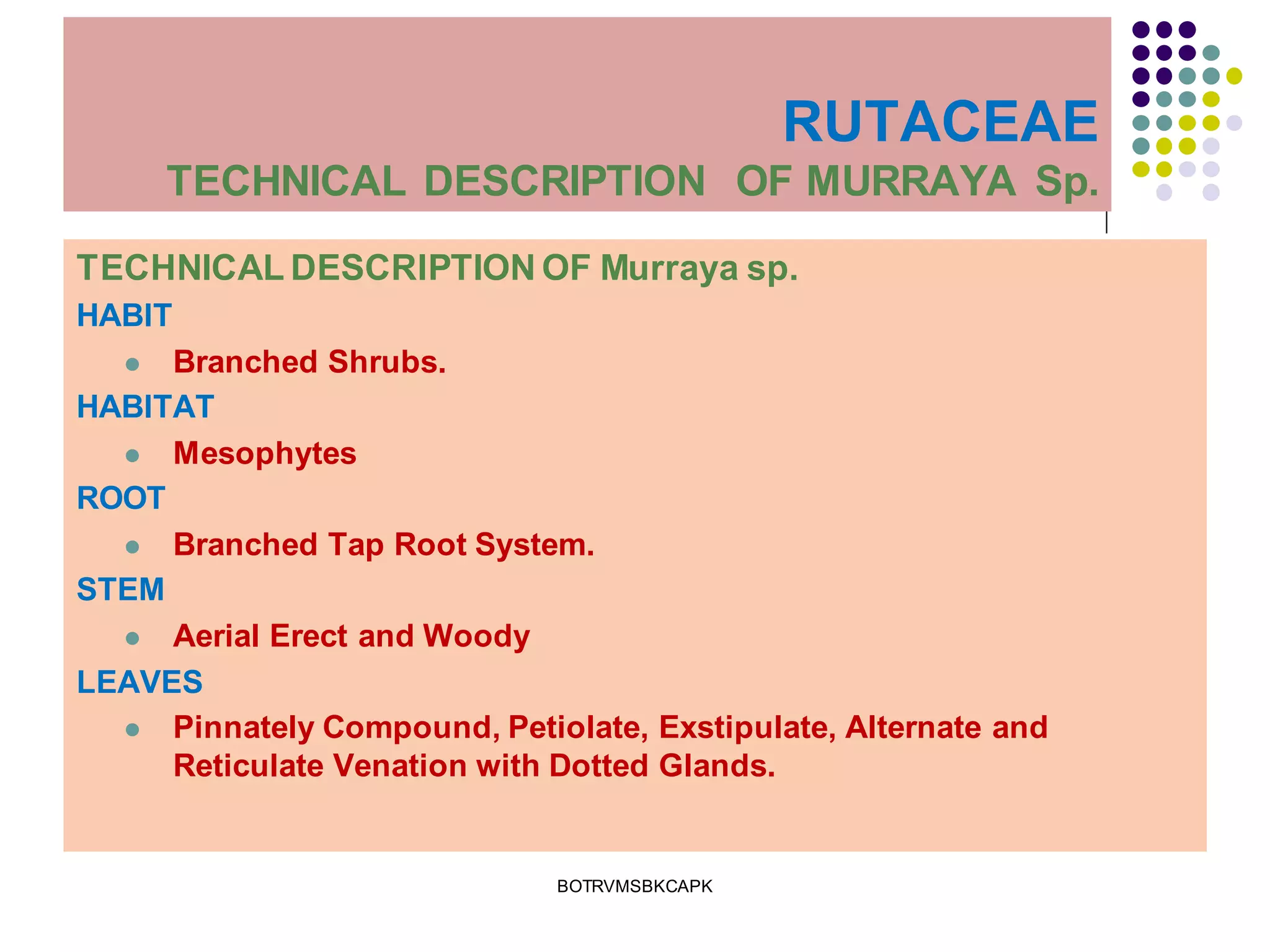 1 4 taxonomy -rutaceae | PPT