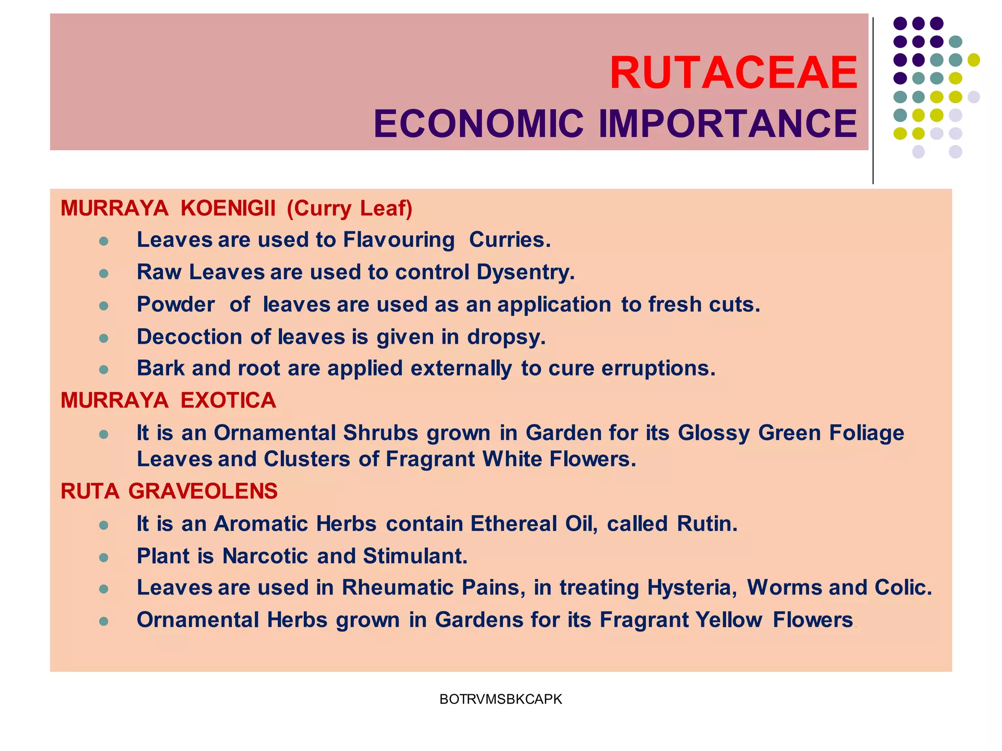 1 4 taxonomy -rutaceae | PPT