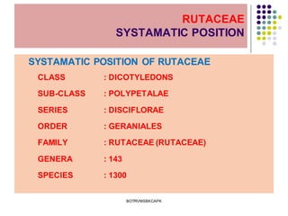 1 4 taxonomy -rutaceae | PPT