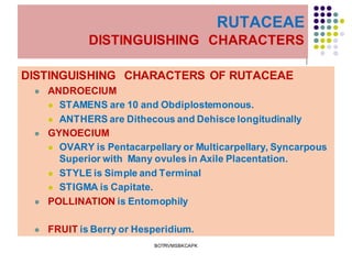1 4 taxonomy -rutaceae | PPT