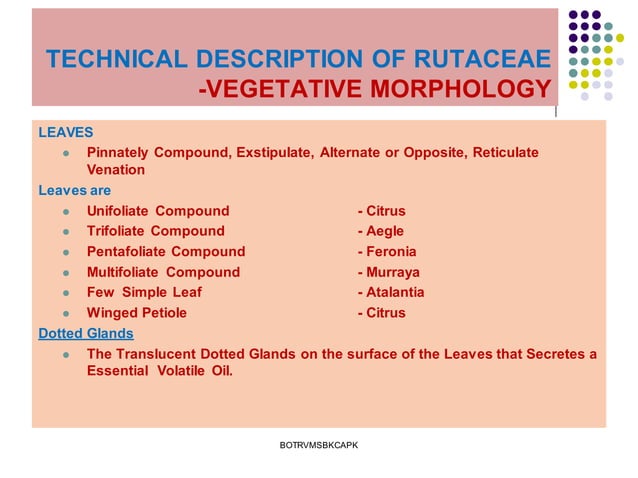 1 4 taxonomy -rutaceae | PPT
