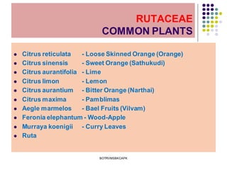 1 4 taxonomy -rutaceae | PDF