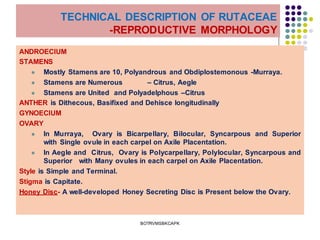 1 4 taxonomy -rutaceae | PDF
