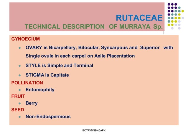 1 4 taxonomy -rutaceae | PPT