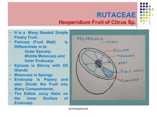 1 4 taxonomy -rutaceae | PDF