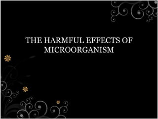 Helpful And Harmful Microorganisms (Autosaved) PDF Pathogen, 53% OFF