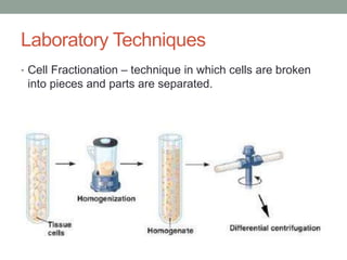 1-4 Tools and Procedures | PPTX
