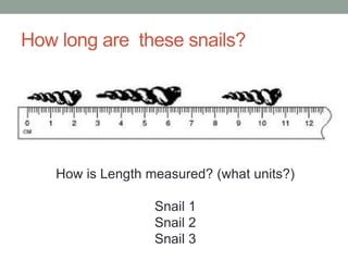 1-4 Tools and Procedures | PPTX