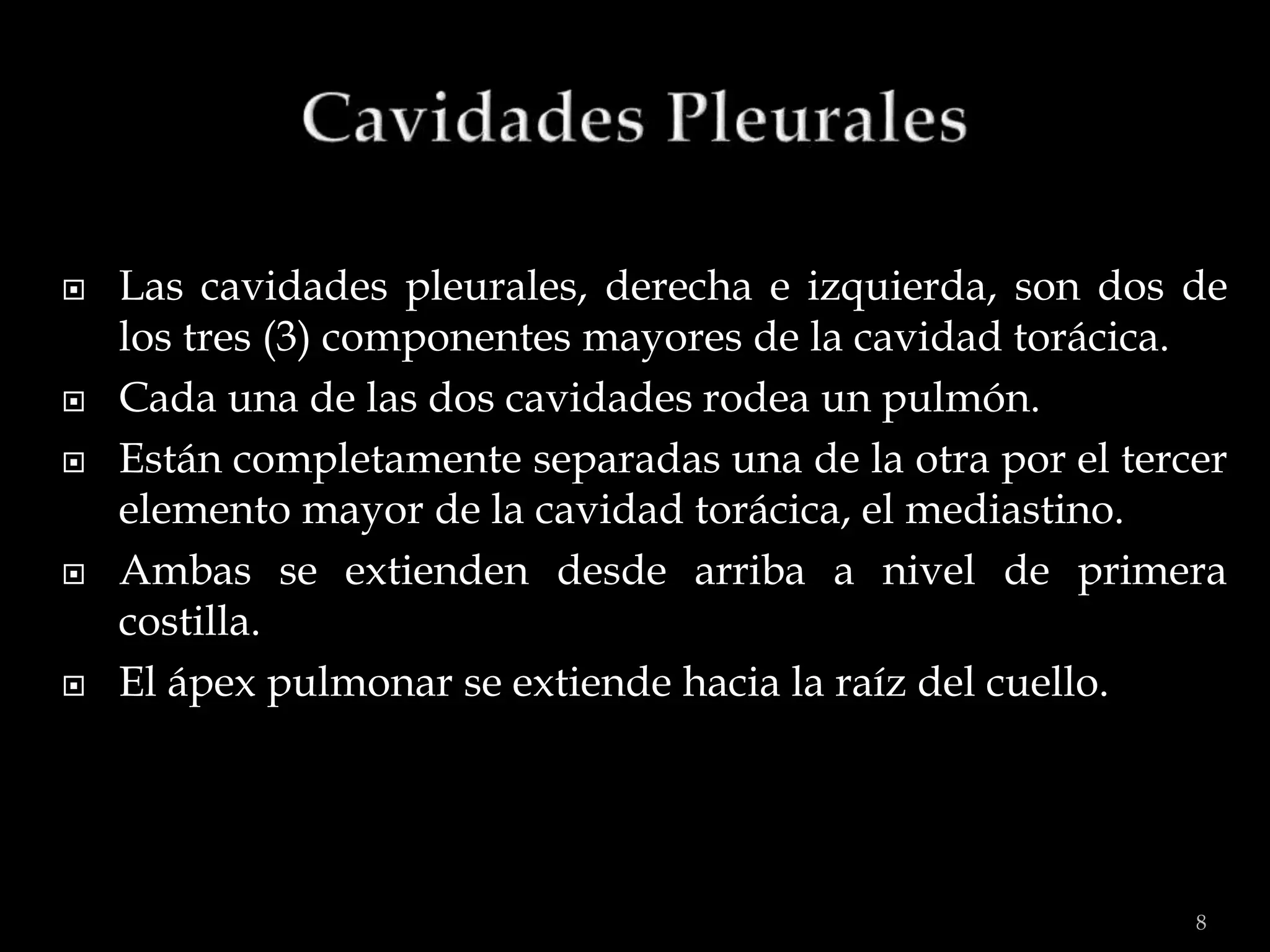 1 4 torax cavidad pleural y pulmones | PPT