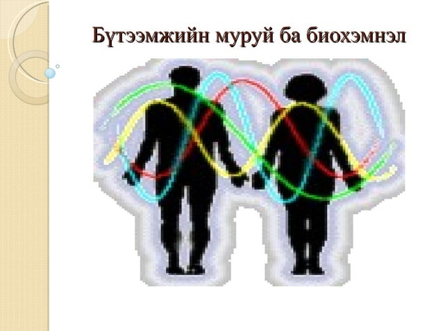хувийн зохион байгуулалт ба цагийн менежмент 1 5 Ppt