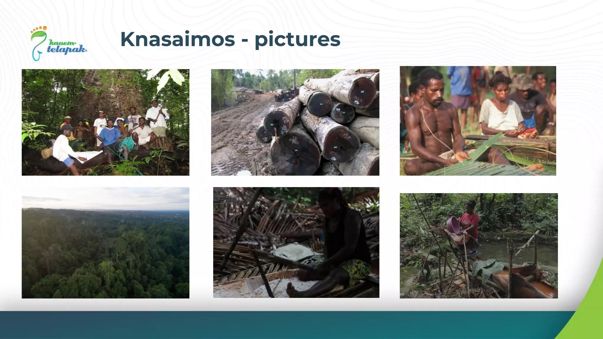 Developing Sustainable Community-based Agriculture and Forestry | PDF