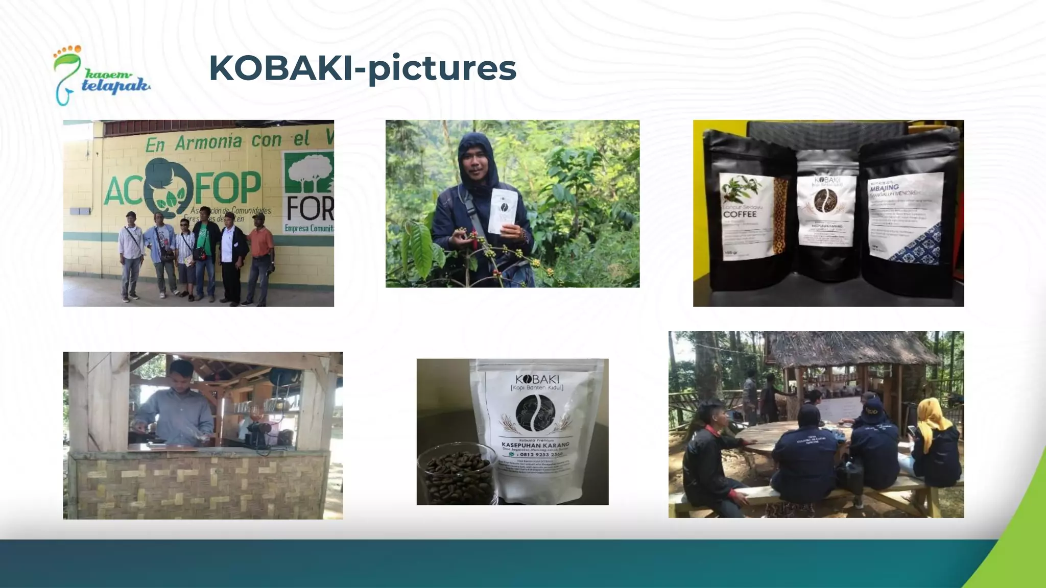 Developing Sustainable Community-based Agriculture and Forestry | PDF