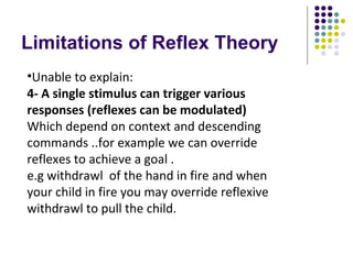 1 5 Motor Control Theories | PPT