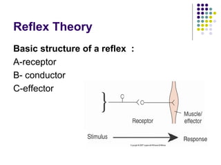1 5 Motor Control Theories | PPT