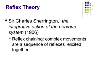 1 5 Motor Control Theories | PPT