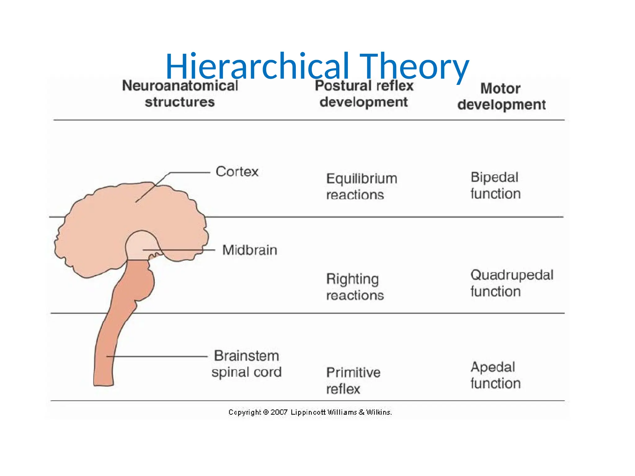 1-5_Motor_Control_Theories_all motor control theories | PPT