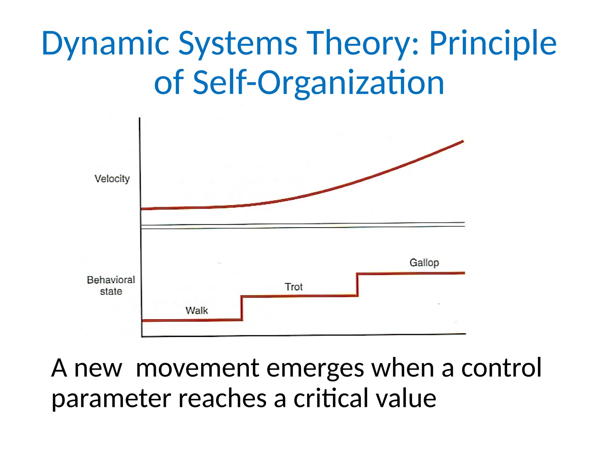 1-5_Motor_Control_Theories_all motor control theories | PPT