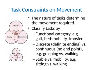 1-5_Motor_Control_Theories_all motor control theories | PPT