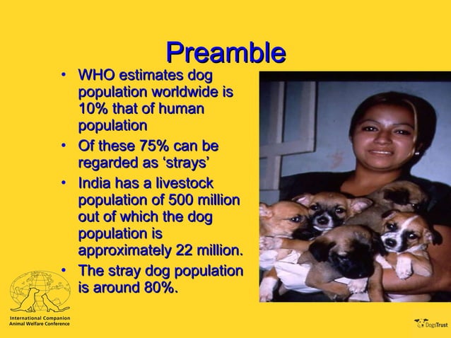 Dog Population Control: Animal Welfare Issues from a Developing Country ...