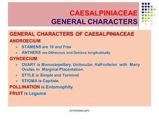 1 5 taxonomy -caesalpiniaceae | PDF