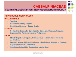 1 5 taxonomy -caesalpiniaceae | PDF