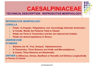 1 5 taxonomy -caesalpiniaceae | PDF
