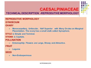 1 5 taxonomy -caesalpiniaceae | PDF