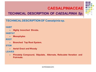 1 5 taxonomy -caesalpiniaceae | PDF