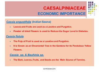 1 5 taxonomy -caesalpiniaceae | PDF