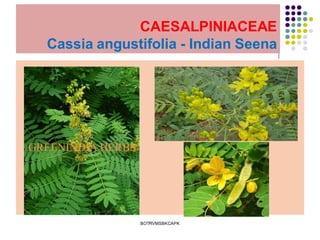 1 5 taxonomy -caesalpiniaceae | PDF