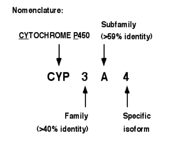 cyp450 system | PPTX | Endocrine and Metabolic Diseases | Diseases and ...