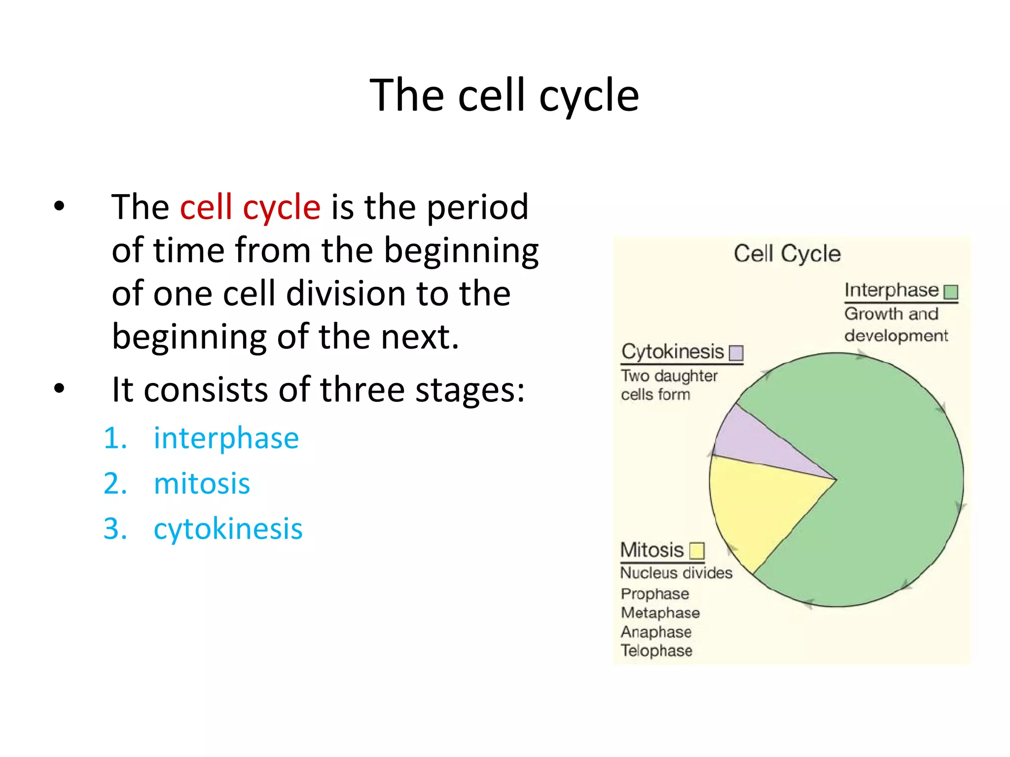 1 7 Cell Cycle | PPT