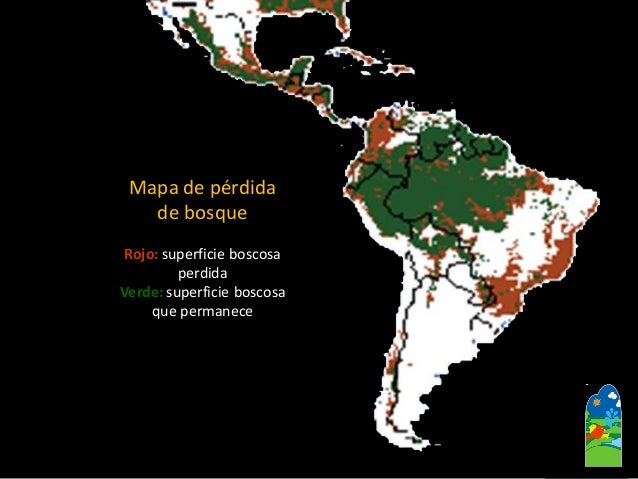 América Latina Problemas Ambientales1 7